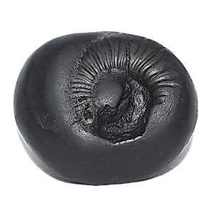 Sesha Shaligram/Shesha Salagram - Nepal