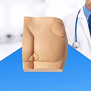 SHRFC Medical Hip Injection Training Simulator,Injection Training Vivid Hip Intramuscular Anatomical Model for Nurse, Medical Students