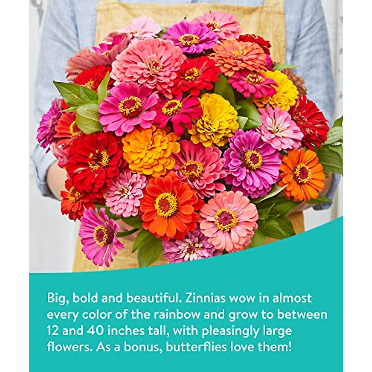 Burpee Cutting 50,000 Bulk, Multi, 1 Bag | 15 Varieties of Non-GMO Flower Perennial Wildflower Seeds Pollinator Mix | Covers 1,000 Sq. Ft, Multicolor