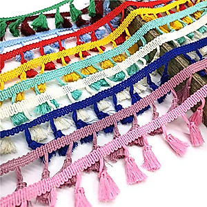 MSCFTFB 20 Yards Mini Tassel Fringe Trim,Boho Tassels Ribbon for Women,1.6inch Wide Sewing Fabric Lace for DIY Jewelry Clothing Bag Curtain Home Party Decor(Rosy Brown)