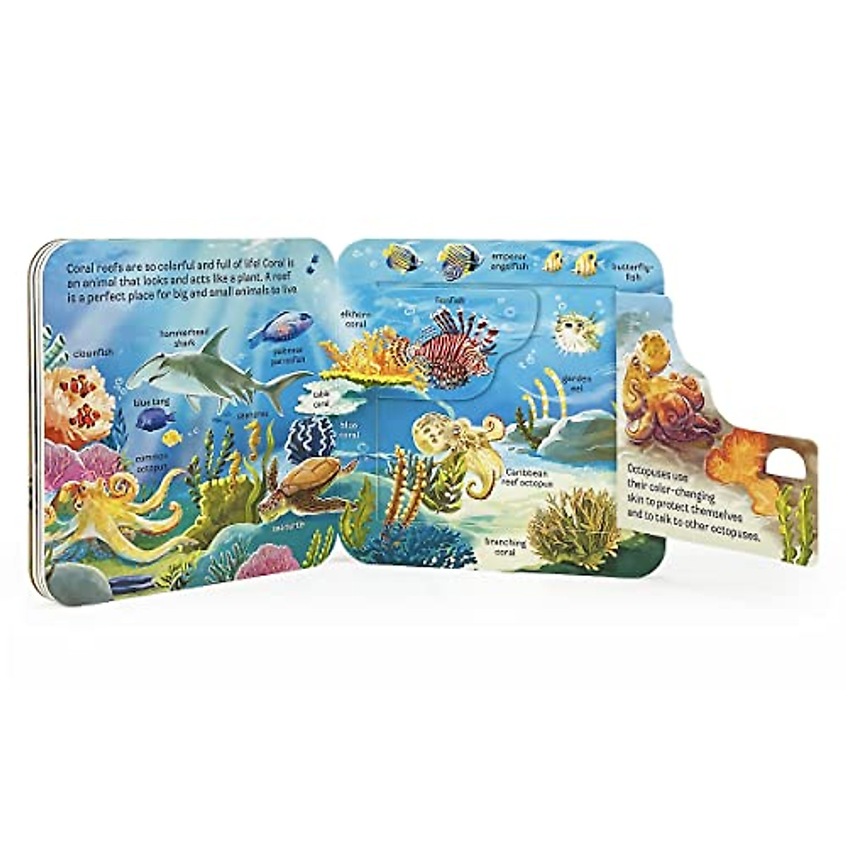Peek-a-Flap Ocean Children's Lift-a-Flap Board Book for Children Learning about the Sea and Water Animals, Ages 2-5