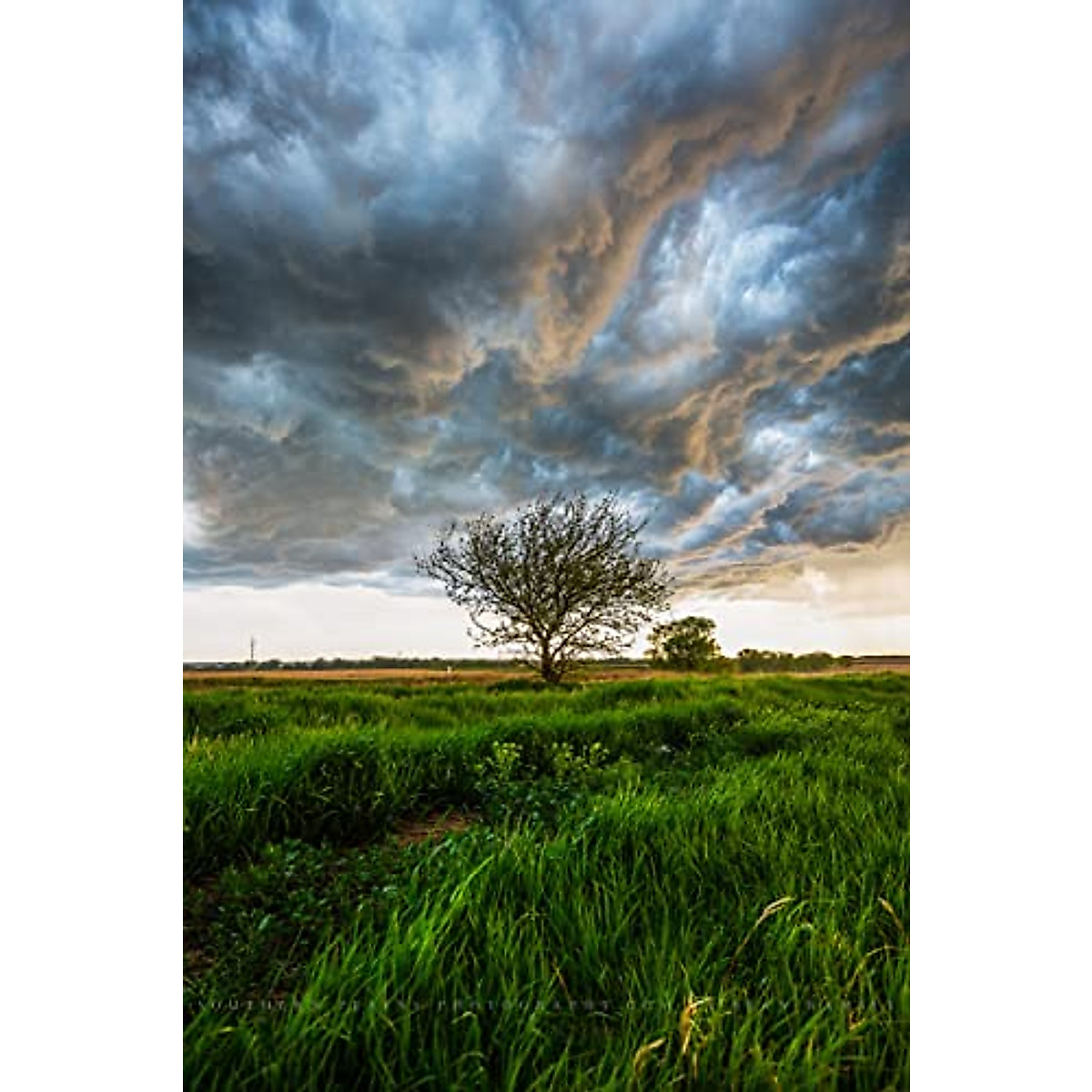 Great Plains Photography Print (Not Framed) Vertical Picture of Tree Under Stormy Sky on Spring Day in Kansas Prairie Wall Art Nature Decor (4" x 6")