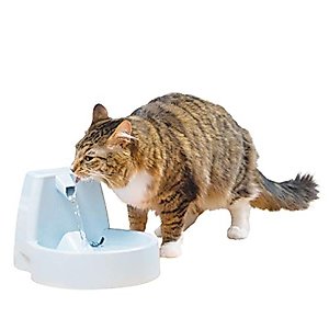 PetSafe Drinkwell Original Dog and Cat Water Fountain, Automatic Drinking Fountain for Pets, 50 oz.