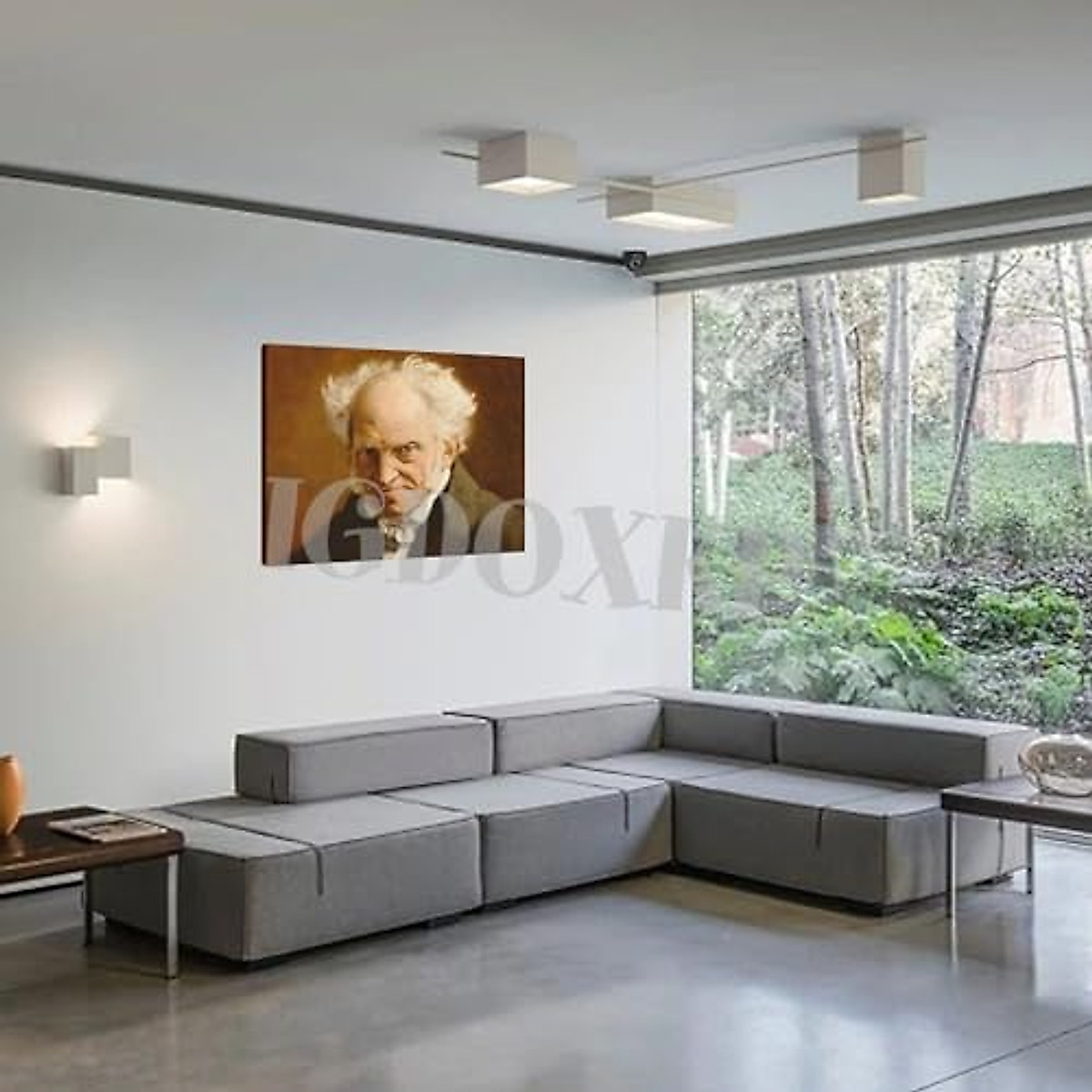 DEVINK Philosopher Arthur Schopenhauer Portrait Art Poster Aesthetic Art Deco Living Room Bedroom Decor Prints Frame-style 20x16inch(50x40cm)