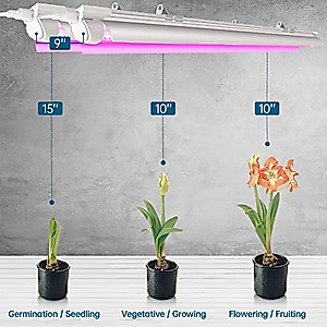 Barrina LED Grow Light, 252W(6 x 42W) 4ft T8, Full Spectrum, V-Shape with Reflector, Linkable Design, Plant Lights for Indoor Plants, 6-Pack