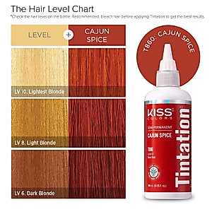 Kiss Tintation Semi-Permanent Hair Color 5 Ounce (Cajun Spice (2 Pack))