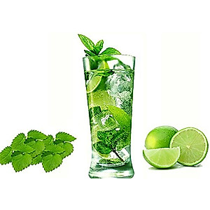 100+ Mojito Mint Seeds, Heirloom Herb Non-GMO, Fragrant Rare! Ships from USA