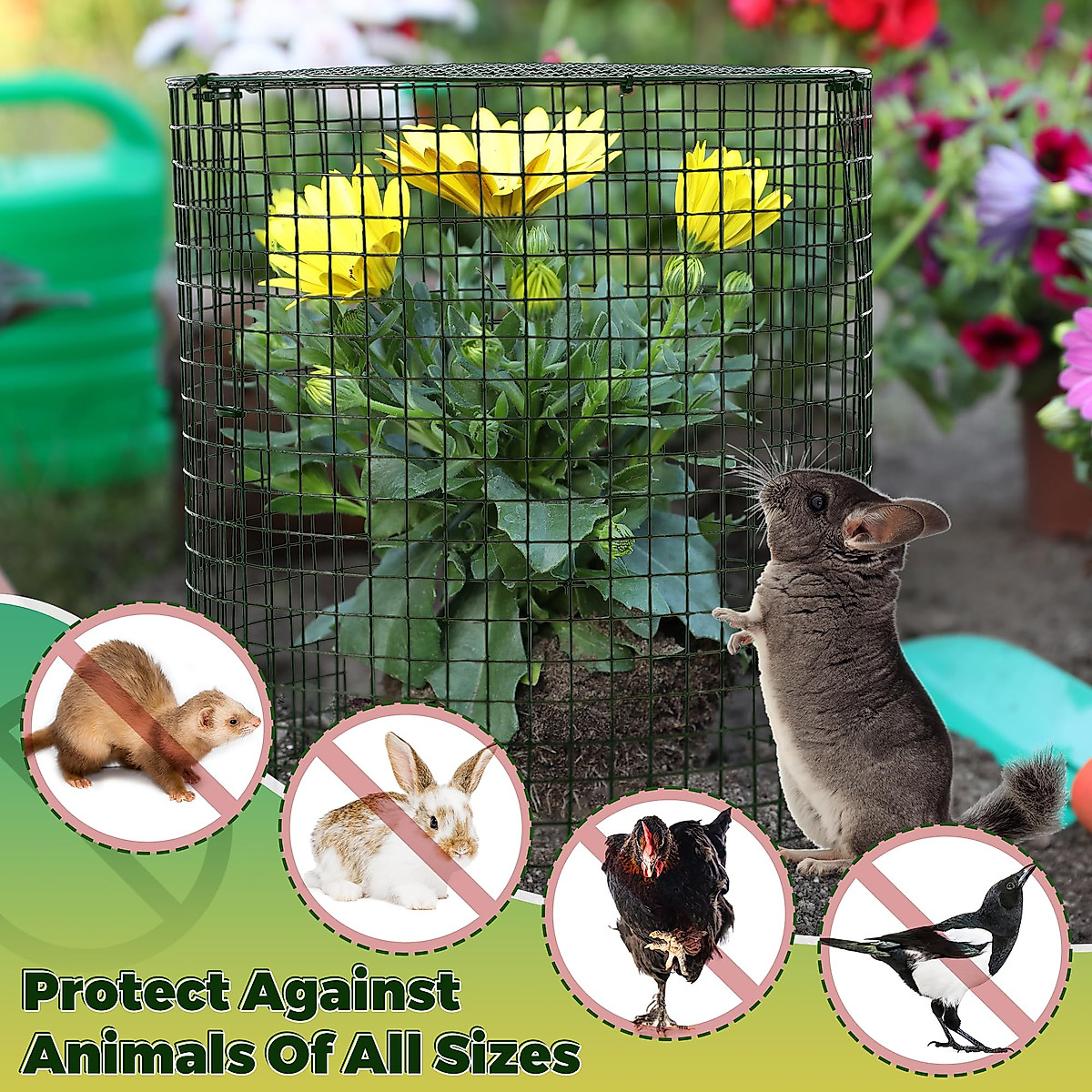 Hiboom 4 Set Garden Plant Protectors from Animals with Stakes, Metal Mesh and Detachable Covers Wire Plant Cage for Keeping Bunny Animals Out, Chicken Wire Plant Cover Garden Protection (Dark Green)