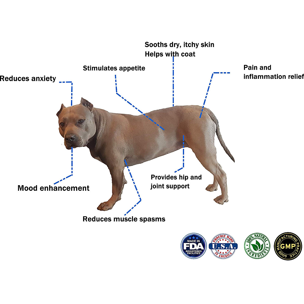 Pittie Cool Hemp Oil for Pets, Strawberry Flavor, 1000MG, Natural, Hips & Joints, Calming, Anxiety