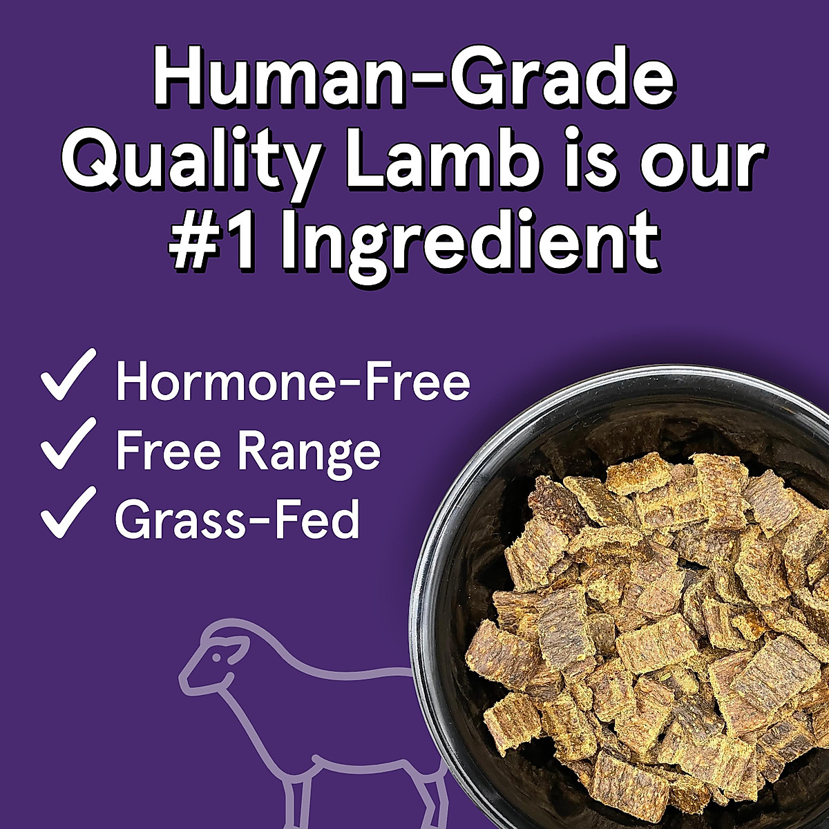 TRMC Real Meat Air Dried Dog Food w/Real Lamb - 5lb Bag of USA-Crafted Grain-Free Real Meat Dog Food Sourced from Hormone-Free, Free-Range, Grass-Fed Lamb - Digestible, All Natural, High Protein Lamb