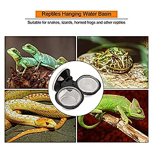 Reptile Food Water Feeding Bowl Crested Gecko Feeding Ledge Reptile Food and Water Cups for Small Pets (Double Bowl)