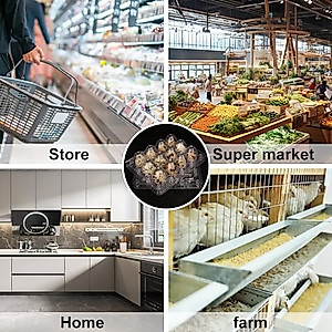 210 Pack Quail Egg Cartons, Clear Plastic Quail Egg Trays, Holds up to 12 Quail Eggs Securely - Your Ultimate Small Eggs Carton Holders for Bulk Storage and Display by KUKLIPJIM