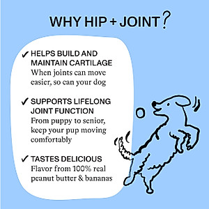 Spot & Tango Hip + Joint Supplement for Dogs - Vet-Approved For Mobility and Arthritis Support - Glucosamine, Chondroitin, Green Lipped Mussel, MSM - Flavor from Real Peanut Butter & Banana - 56 Count