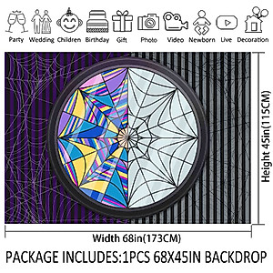Yriujul 68x45inch Fabric Spider Web Window Gothic Backdrop Wednesday Horror Theme Birthday Photography Background Kids Party Decorations Stripe Photo Banner Props