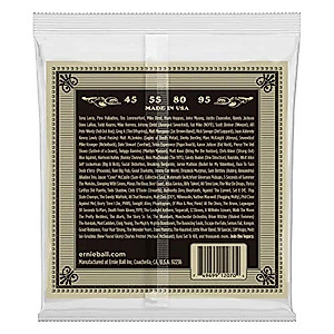 Ernie Ball Earthwood Slinky Phosphor Bronze Acoustic Bass Guitar Strings, 45-95 Gauge (P02070)