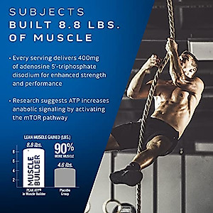 Muscle Builder | MuscleTech Muscle Builder | Muscle Building Supplements for Men & Women | Nitric Oxide Booster | Muscle Gainer Workout Supplement | 400mg of Peak ATP for Enhanced Strength, 30 Pills