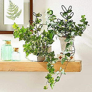 Small Trellis for Potted Plants Wrought Iron Leaf Shape Garden Trellis for Indoor Outdoor Decorative Climbing Plants Support Trellis for Vines Roses (Gold)