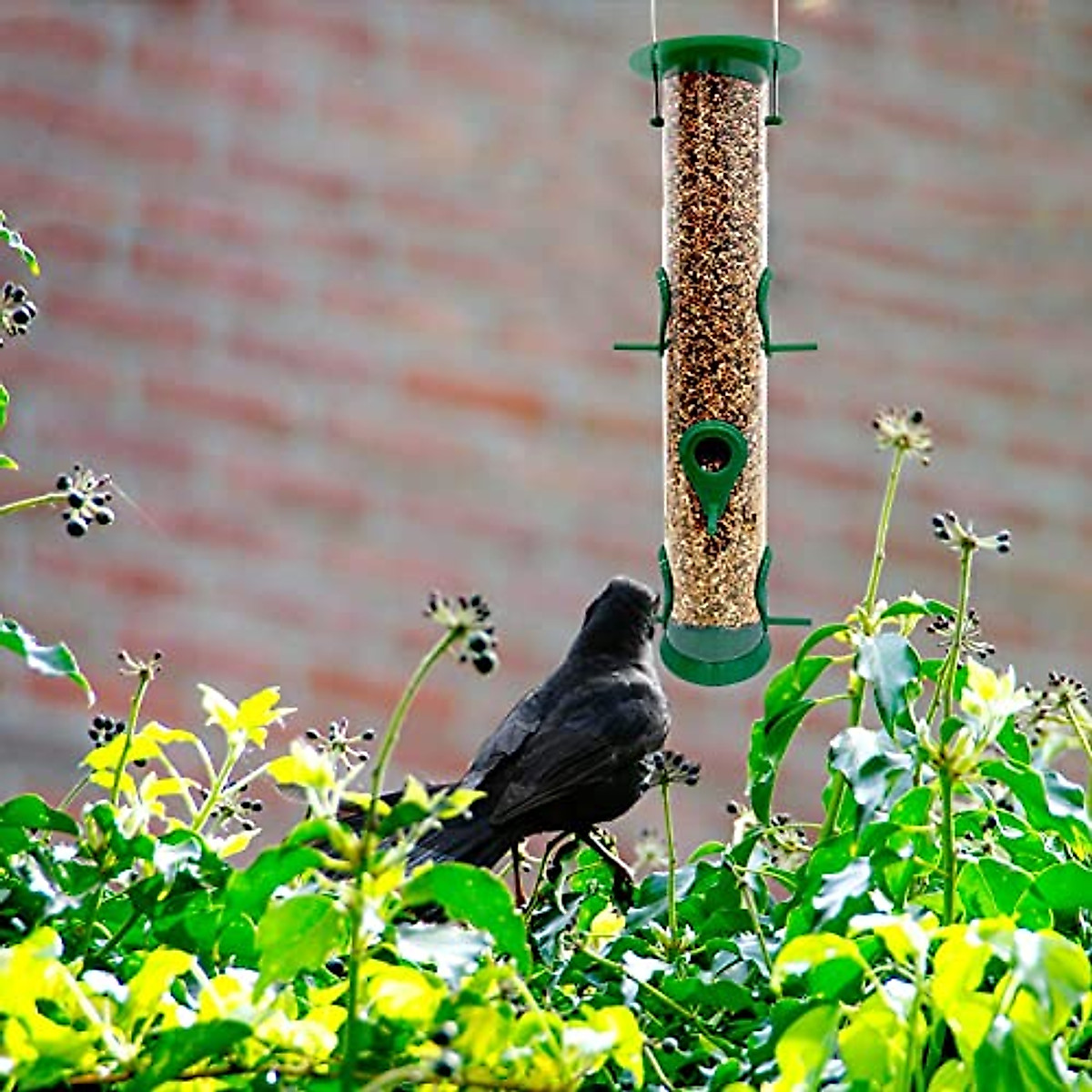 MIXXIDEA Bird Feeder Tube Hanging Feeders, 6 Port Wild Bird Feeders Premium Hard Plastic with Steel Hanger Weatherproof and Water Resistant Great for Attracting Birds 18.2 Inches Large (Dark Green)