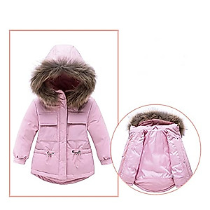 TJTJXRXR Infant and Toddler Baby Boys/Girls Snowsuit Winter Baby Clothing Set Duck Down Hooded Jacket +Bib Pants 2 Pieces Set (as1, age, 3_years, 4_years, Pink)