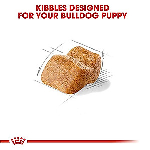 Royal Canin Bulldog Puppy Dry Dog Food, 30 lb bag