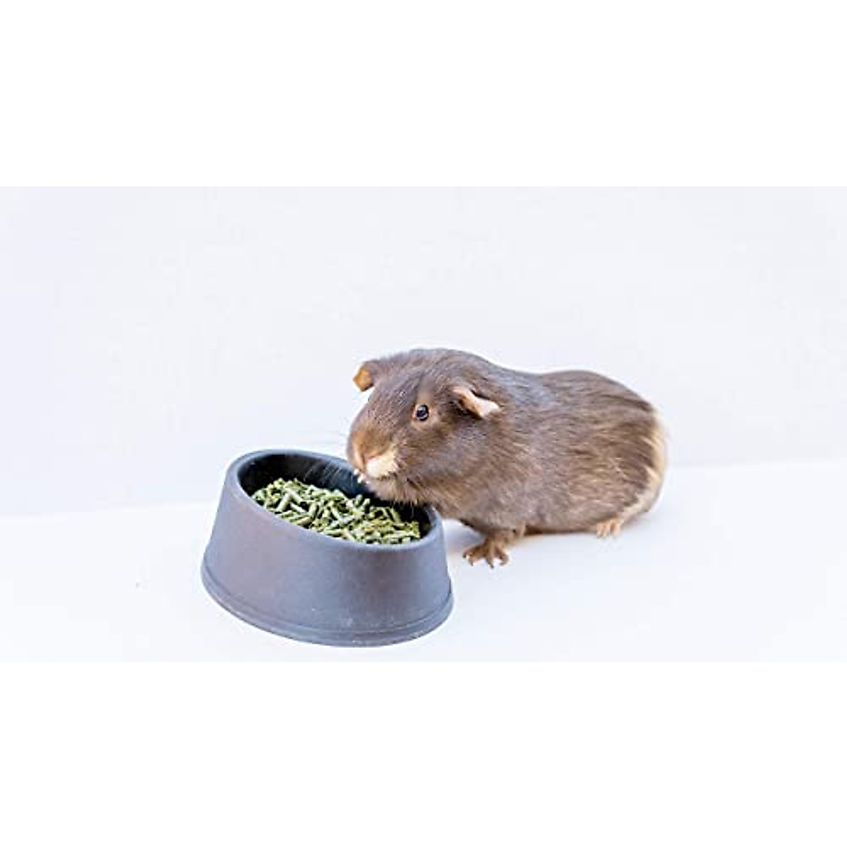 High Desert Delight Alfalfa Pellets: The Holy Grail of Small Pet Food for Your Furry, Feathered, and Shelled Friends
