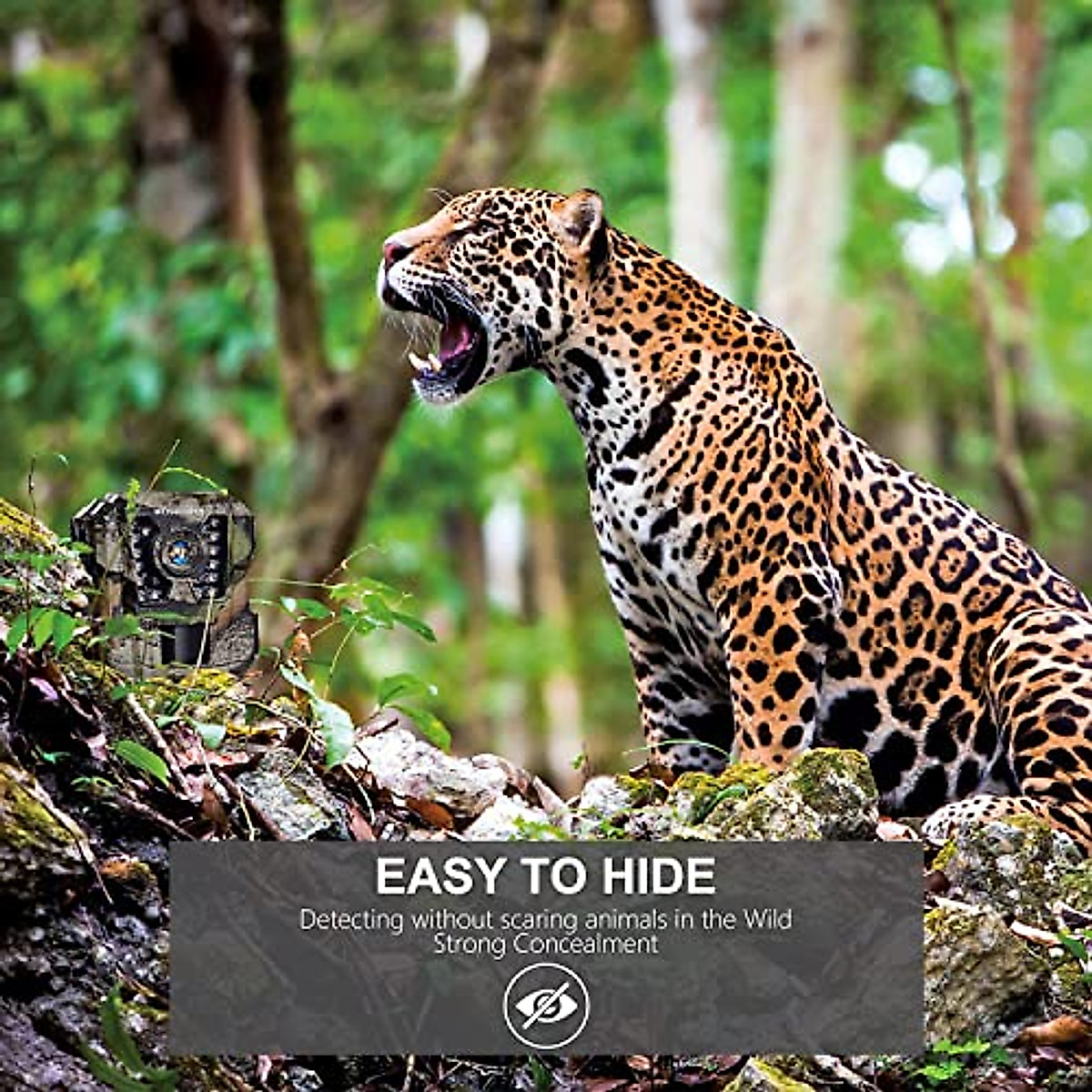 WOSPORTS Mini Trail Camera 2 Pack, 24MP 1080P HD Game Camera with SD Card and 8AA Batteries, Fast Trigger Time Infrared Night Vision Hunting Camera for Wildlife Monitoring