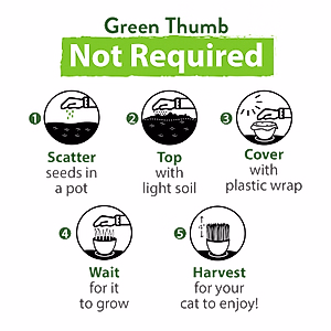 HOME GROWN 1 Pound Cat Grass Seeds for Indoor Cats & Pets - Ready to Eat in 7 Days - Quick & Easy to Grow | Cat Grass for Digestion & Hairballs | 100% Non-GMO Heirloom Oat Barley Seeds