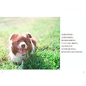 犬のいる暮らし 一生パートナーでいるために知っておきたいこと