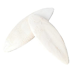 TEHAUX Bird Cuttlebone for Parakeets, Natural Cuddle Bone, Chewing Cuttlefish Bone for Sharp Beaks, Natural Birds Calcium Suitable for Parrot Cockatiels Budgie Conures