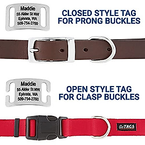 GoTags Slide-On Pet ID Tags, Personalized Dog and Cat Collar Tags, Silent, No Noise Tags Made of Stainless Steel, Custom Engraved