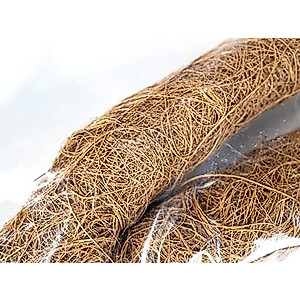 Josh's Frogs Flexible Natural Coco Tree Branches (Large)