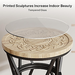 Tribesigns Side Table Set of 2, Round Carved End Table for Living Room, Bedroom, Small Side Table with Metal Frame, Accent Coffee Table, Nightstand with Acrylic Tabletop