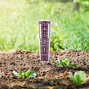 La Crosse 704-1531R-INT Large Magnifying Easy Read 5-Inch Capacity Acrylic Rain Gauge in Burgundy, Red