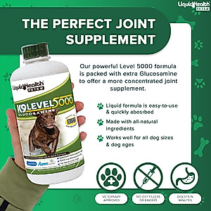 LIQUIDHEALTH 128 Oz K9 Liquid Glucosamine Level 5000 for Dogs, Large Dogs and Breeds - Chondroitin, MSM, – Joint Health Supplements, Dog Vitamins Hip Joint Juice, Dog Joint Oil - 1 Gallon