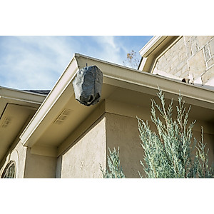 Tanglefoot 300000430 Waspinator