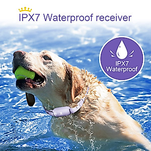 Bousnic Shock Collar for Dogs - Waterproof Rechargeable Dog Electric Training Collar with Remote for Small Medium Large Dogs with Beep, Vibration, Safe Shock Modes (8-120 Lbs) (Purple)