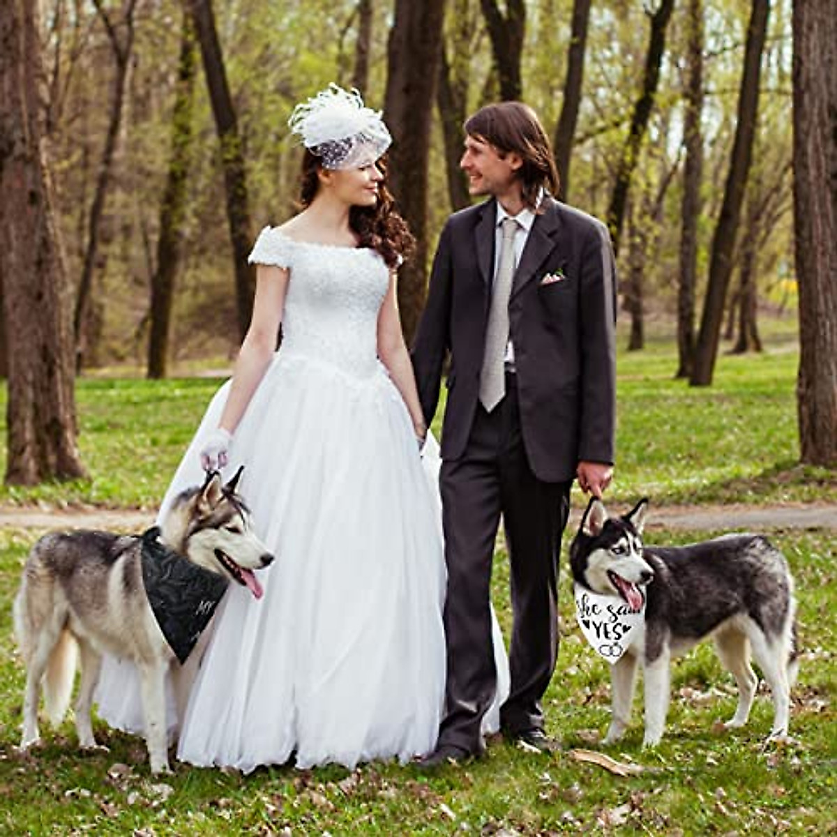 Dog Engagement Announcement, Will You Marry My Daddy Dog Bandana, Dog of Honor Bandana Wedding, Wedding Engagement Photos Pet Scarf Accessories for Small Medium Large Dog (White+Black)