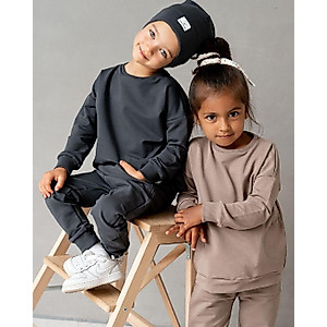 MAYUMMPY Baby Boys Girl Solid Outfit Long Sleeve Crewneck Oversized Sweatshirt Sweatpants Pants Set Fall Winter Clothes (Purple, 18-24 Months)