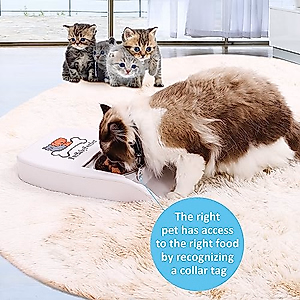 FurBabyFeeder Automatic Microchip Pet Feeder - Uses RFID Collar Tag - Multi-Pet - LCD Display - Suitable for Both Wet and Dry Food (White)