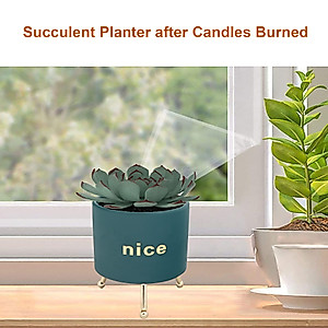 Citronella Candles Outdoor and Indoor, 50 Hours Long Burning, 14.3 Oz Large Citronella Scented Candle Decorative, 3 Wick Wax Tin, Long Lasting Essential Oil Soy Wax for Home Garden Patio Balcony-Green