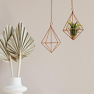 libproqia 5 Pcs Hanging Geometric Air Plants Holders Twisted Metal Airplant Hangers Small Diamond Shape Tillandsia Planter Display with Chains Himmeli Decor for Home and Office,Rose Gold