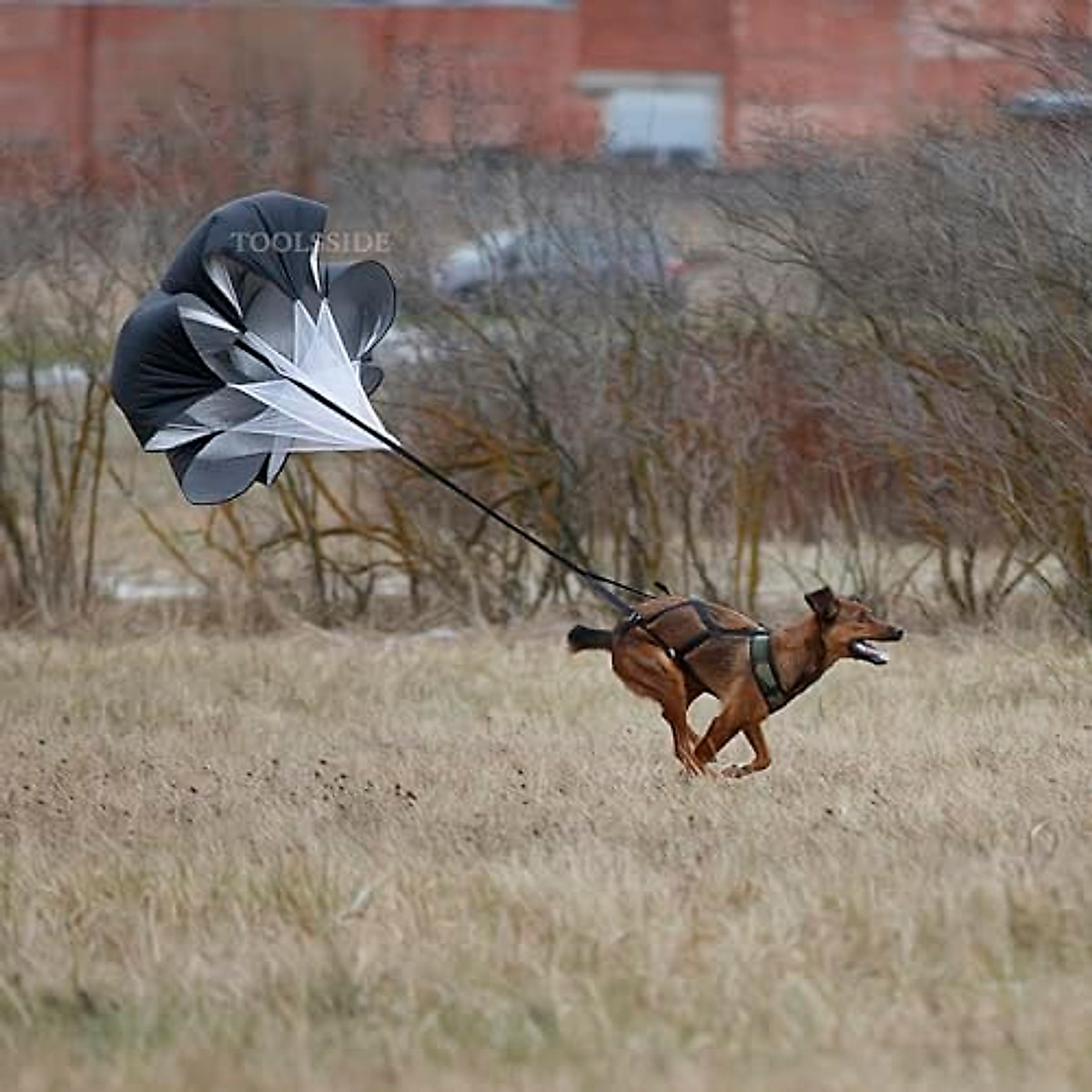 Speed Parachute for Speed Training 48" - Running Speed Chute - Still Cool Running Speed Training for Kids Youth and Adults - Speed Chute Comes Complete with a Carrying Bag - Chute Soccer Training