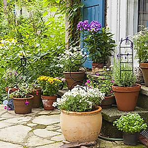 YEXEXINM 4 Pcs Indoor Plant Trellis for Climbing Plants -16inch Garden Metal Trellis for Potted Plants Outdoor Plant Support Stake for Small Planter Flowers Vegetables Rose Vine Pea Ivy