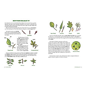 The Tree Book for Kids and Their Grown-Ups