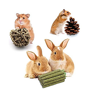 10Pcs Guinea Pig Toy Bunny Toy, Chinchilla Snacks Toys, Hamster Chew Toy, Organic Natural Apple Wood Dumbells for Gerbil, Hamster, Rabbit, Small Animal Molar Accessories Supplies for Teeth Grinding