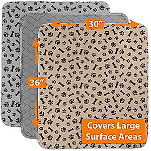 JUNGLE CREATIONS Washable Pee Pads for Dogs (3-Pack) Reusable Waterproof Potty Training Mats for Puppy Playpen, Whelping Box, Crate Liner for Small, Medium, Large, and XL Pets (30" x 36")