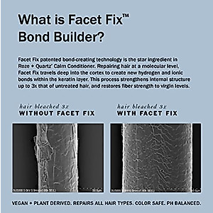 Roze + Quartz Conditioner (10 Fl Oz)