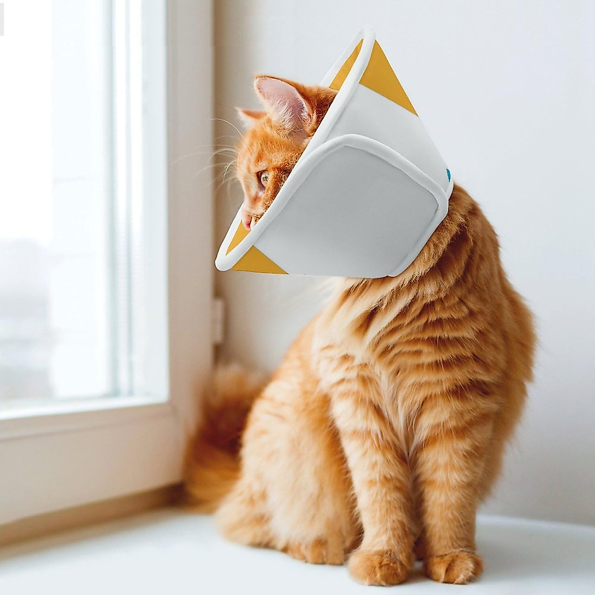 People's Flag of Milwaukee Soft Dog Cone Collars Protective Adjustable Cat Recovery Collar to Stop Licking S