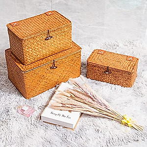 Komely set of 3 Seagrass Shelf Baskets with lids,Decorative Rectangular Storage Baskets with Lids, Handwoven Wicker storage Bins, Stackable Storage Boxes