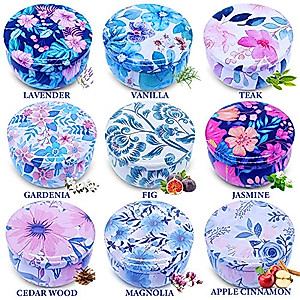 Haoson Christmas Candles Scented Gifts for Women Home Apple Cinnamon, Lavender, Vanilla, Jasmine, Cedar Wood, Fig, Teak, Gardenia and Magnolia Soy Candle Set for Mothers Day Gifts, 9 Packs